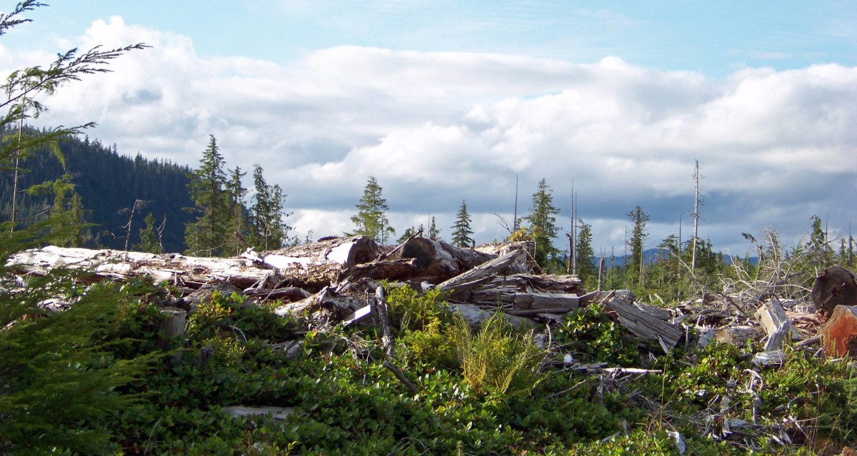 lichtenstadter and mount andrew mine kasaan peninsula – Setter Lake ...