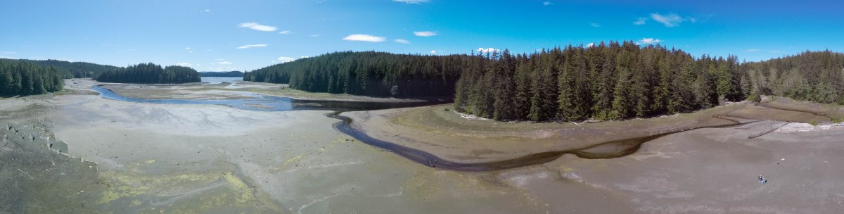 salt chuck mine: bornite to palladium – Setter Lake Migratory Birds